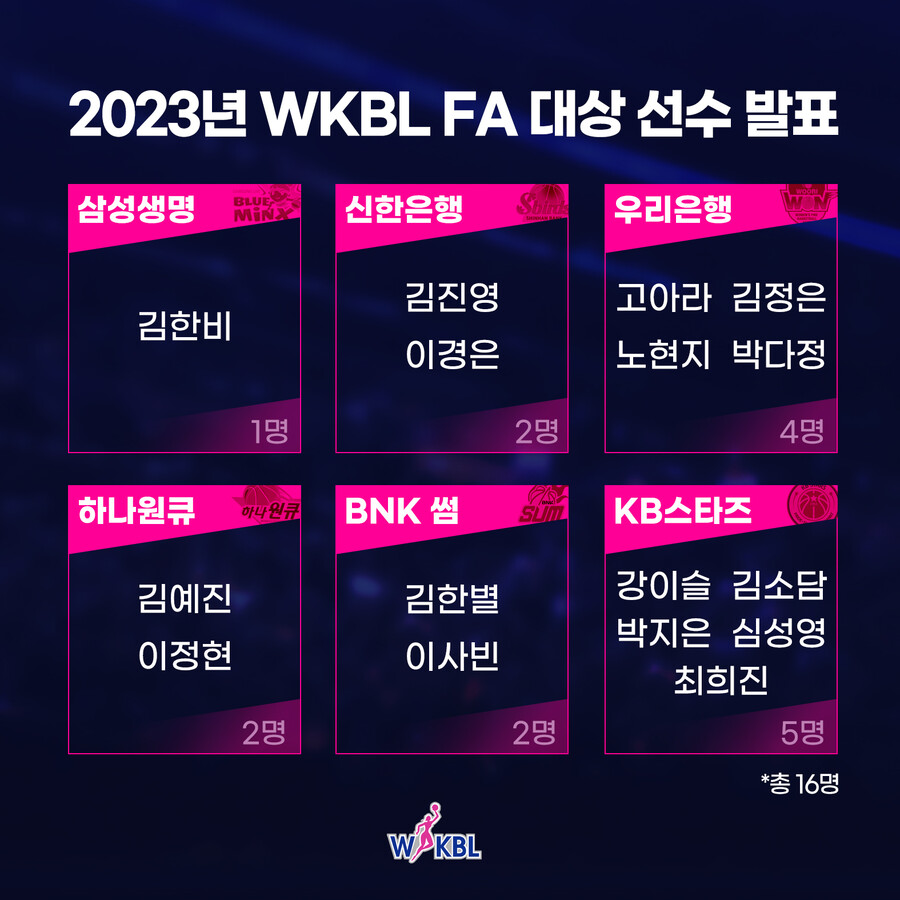 김한별, 강이슬 등 WKBL FA 대상자 16명 공시
