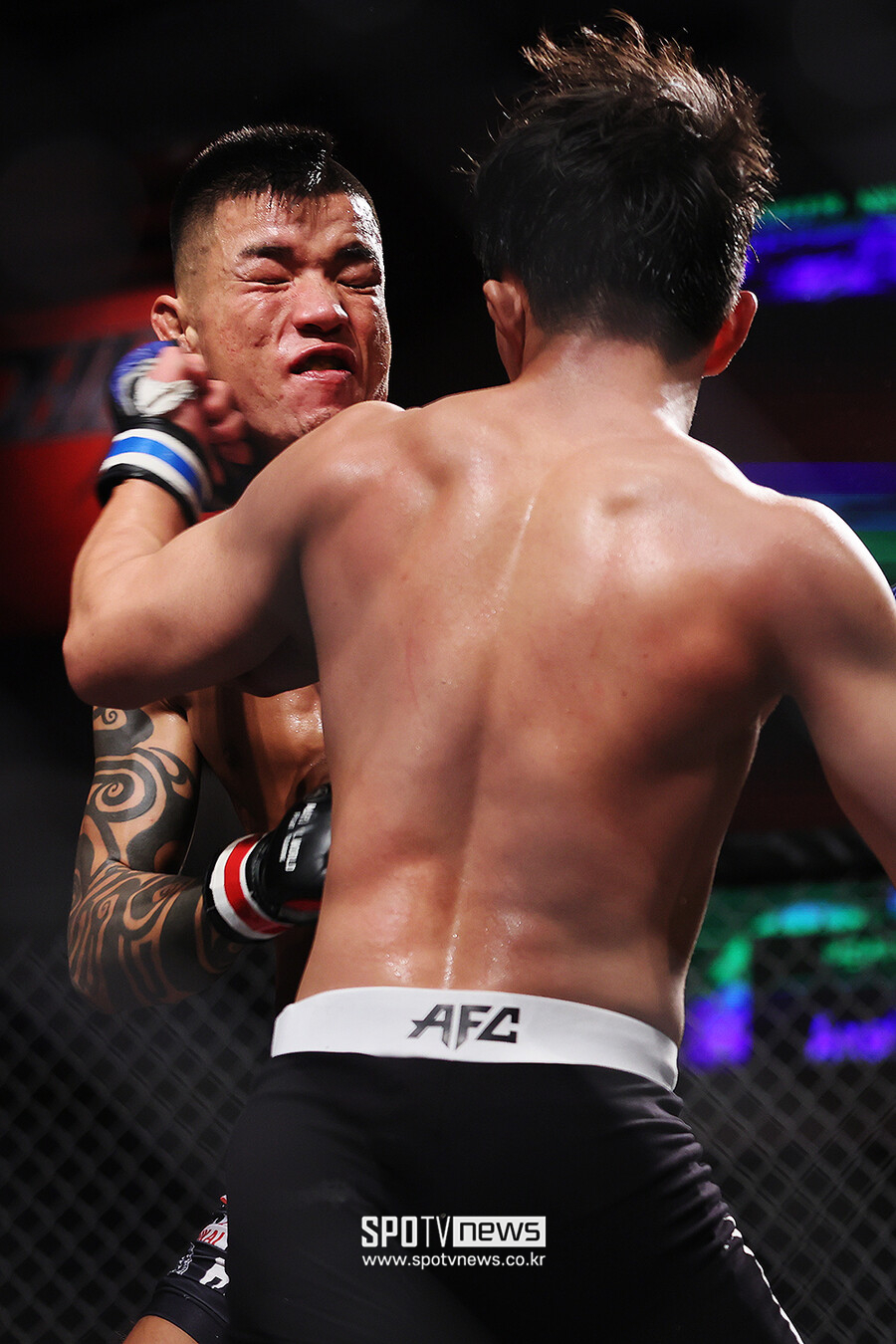 AFC 챔피언 유주상 6연승 질주…일본서 24초 TKO승 '두 번째 챔피언 벨트 차지'