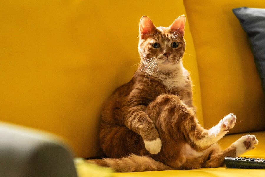 [Cine리뷰]'좀비딸', 완벽 실사화에 웃음+감동+좀비 황금 밸런스